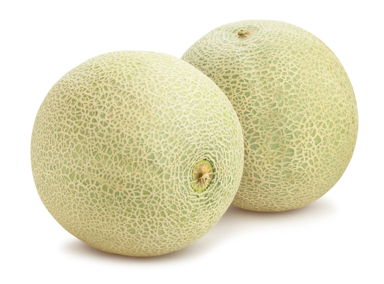 MicroTally® Mitt - MicroTally