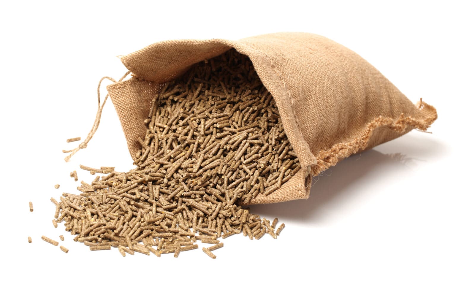 MicroTally® CSD Swab System - MicroTally